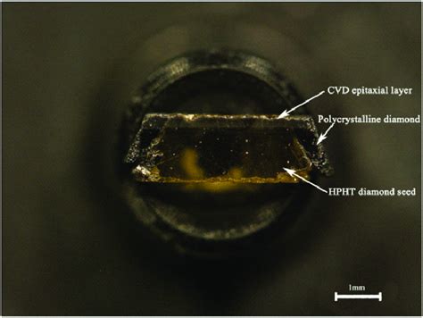 Image result for Crystal Optical Microscope