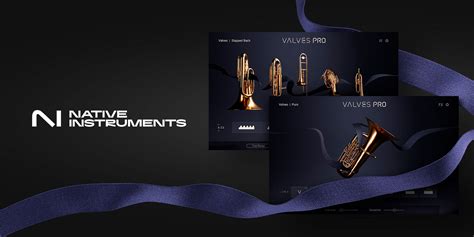 Image result for Native Instruments Valves VST