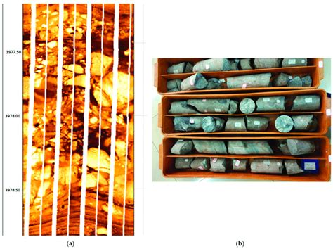 Image result for MicroScanner Result