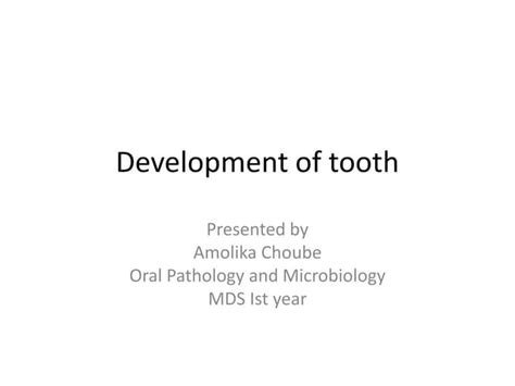 Image result for Tooth Development Video