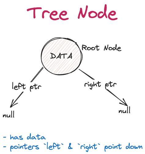 Image result for Binary Trees in Python Explanation