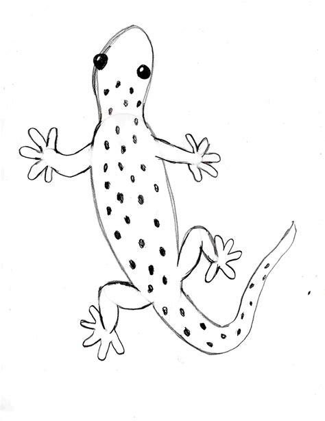 Image result for Form Art Element Drawing Simple Lizard