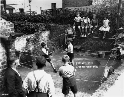 Image result for Backyard Boxing