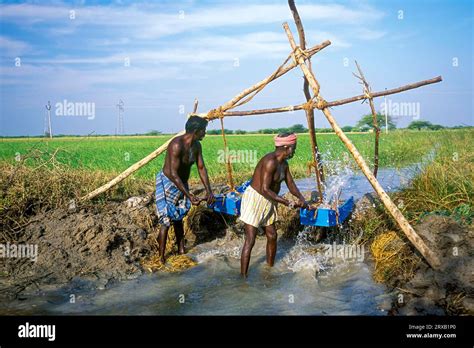Image result for Traditional Methods of Irrigation Class 8