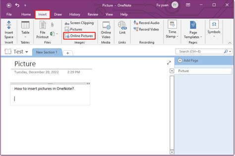 Image result for How to Insert Text in OneNote
