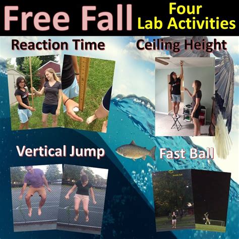 Image result for Physics Lab Ball Falling