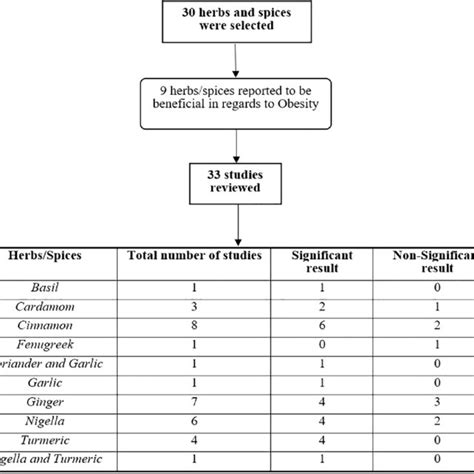 Image result for Cognitive Categorization Research