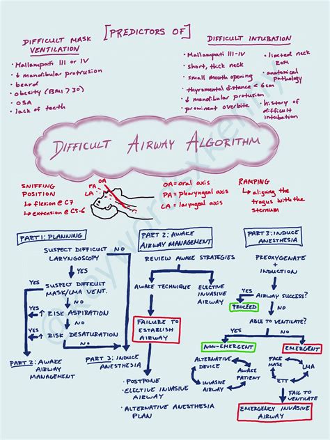 Image result for Das Algorithm Difficult Airway