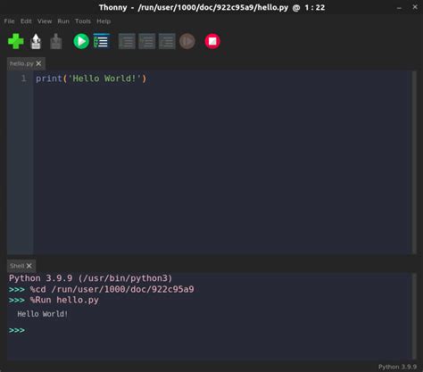 Image result for How to Use Thonny Debugger in Python