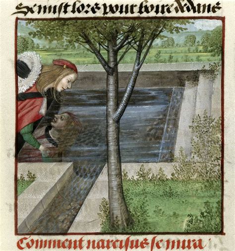 Image result for Narcisio Java