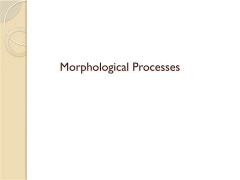 Image result for Types of Morphological Processes PDF