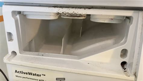 Image result for Smelly Washing Machine Drain