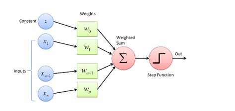 Image result for Linear Perceptron