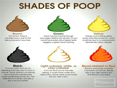 Image result for Yellow Stool Poop