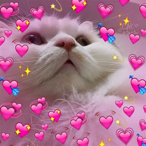 Image result for Tha Tim