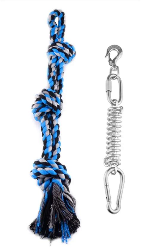 Image result for Spring Pole Dog Training