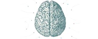 Image result for How Do Humans Learn