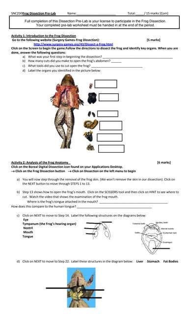 Image result for Dead Frog Dissection