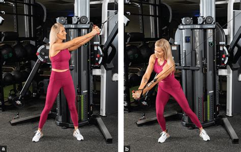 Image result for Anti-Rotation Chop