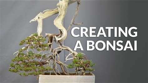 Image result for Creating Bonsia Tree