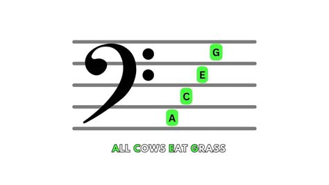 Image result for Bass Clef Space Notes