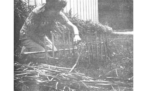 Image result for Primitive Loom