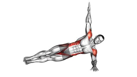 Image result for Push-Up Plus Exercise