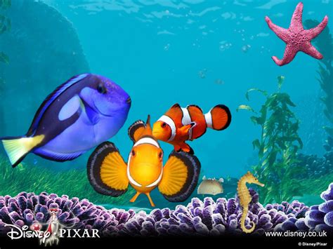 Image result for Finding Nemo Real Life