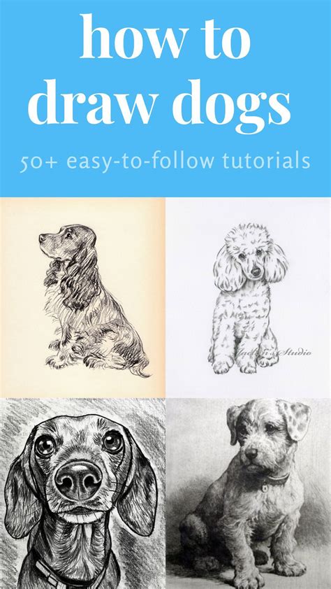 Image result for How to Draw Dogs Tutorial