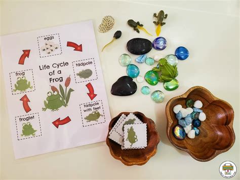 Image result for Pre-K Map Lesson