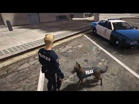 Image result for Advanced K9 Script Frobski