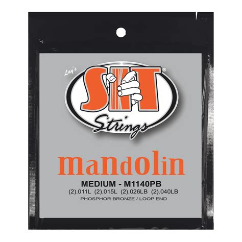 Image result for Mandolin String Types