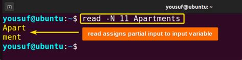 Image result for Read Command in Shell Script