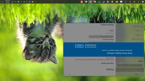 Image result for Windows 1.0 How to Set Display Rotation
