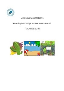 Image result for Tree Lesson