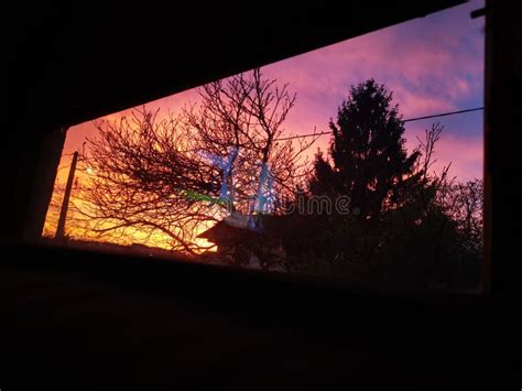 Image result for View Thru Window