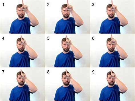 Image result for Learn German Sign Language