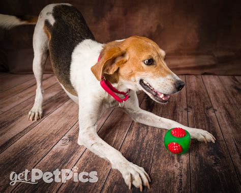 Image result for Patsy Price