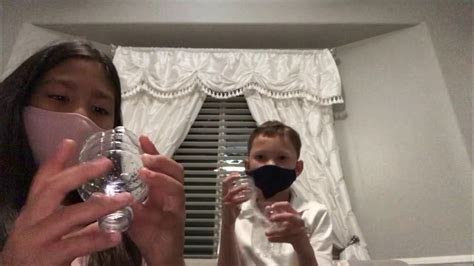 Image result for Easy Homemade Lizard Traps