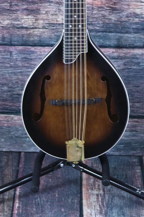 Image result for 12 String Mandolin