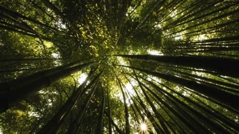 Image result for Learning Quotes