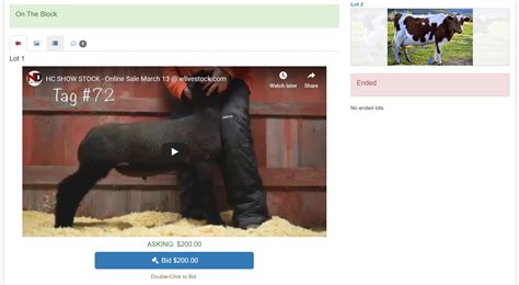 Image result for Live Auction Software