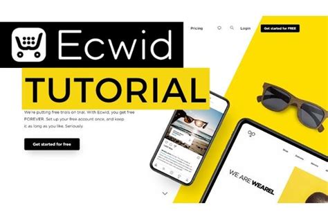Image result for Ecwid Store Tutorial WordPress