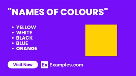 Image result for All Types of Colours