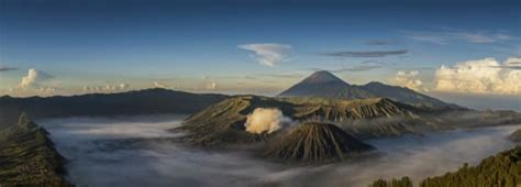 Image result for Java Bali