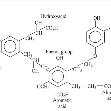 Image result for Humic Acid Structure