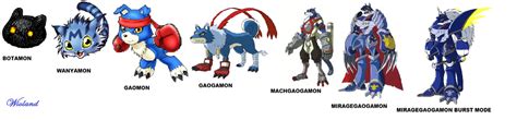 Image result for Gaomon Evolution Chart