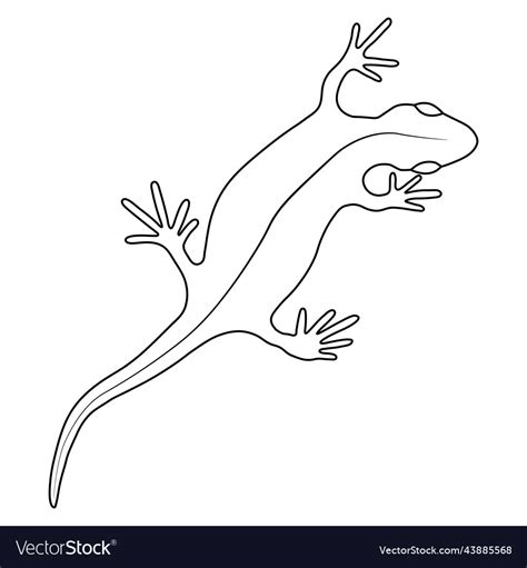 Image result for Simple Line Drawings Lizard