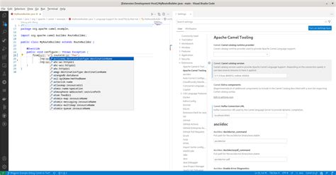 Image result for Apache Camel Low Code No Code