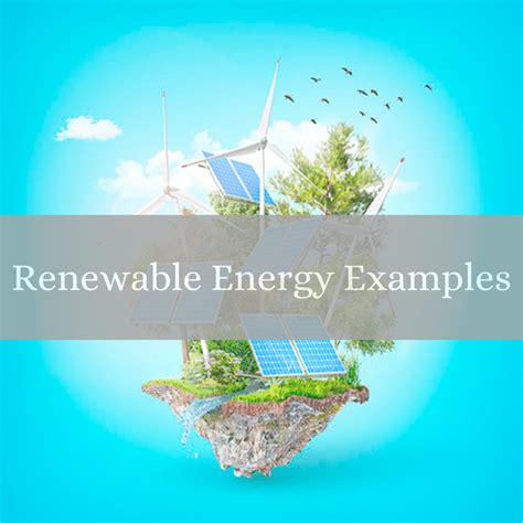 Image result for Renewable resource Examples